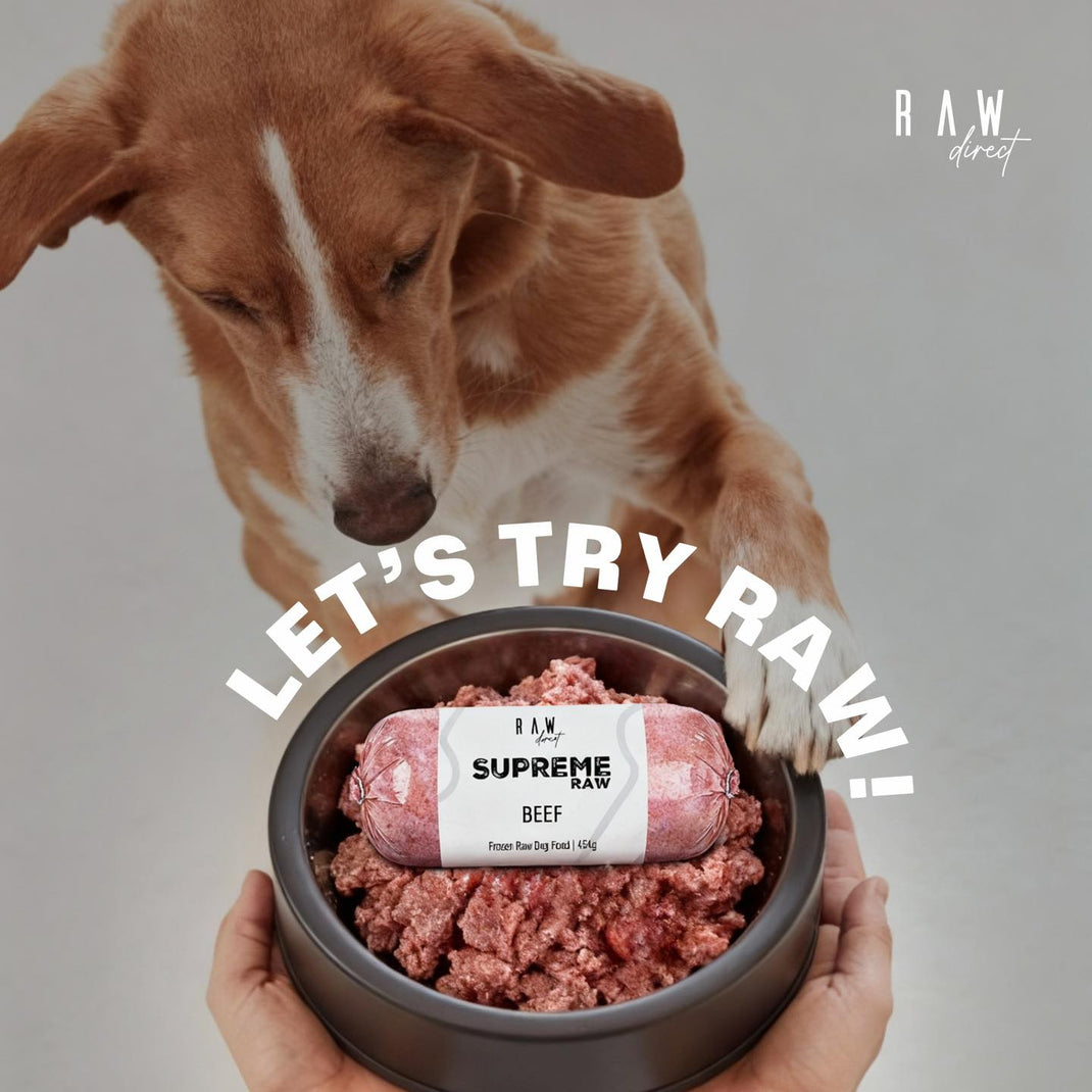 About Raw Direct: Premium Raw Dog Food for Health and Wellness