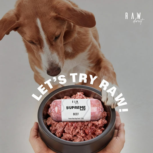 About Raw Direct: Premium Raw Dog Food for Health and Wellness