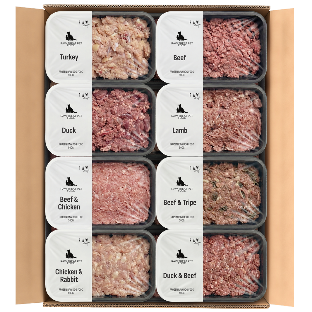 Raw Treat Pet Food - Natural UK-Made Raw Dog Food 500g Tubs - Raw Direct